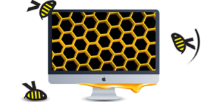 Codebees - Strony internetowe Toruń